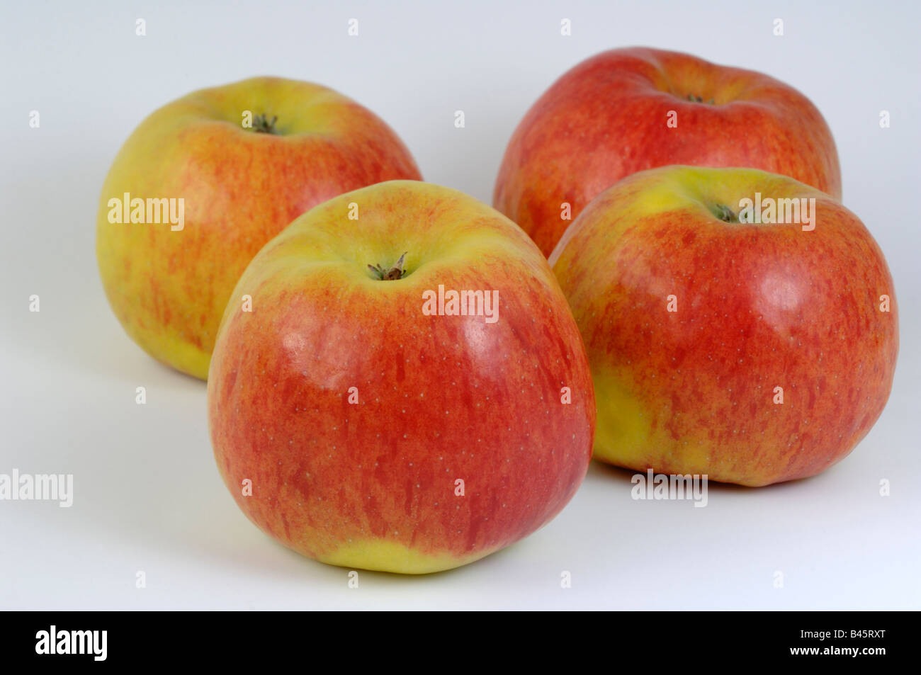 Topaz apple malus hi-res stock photography and images - Alamy