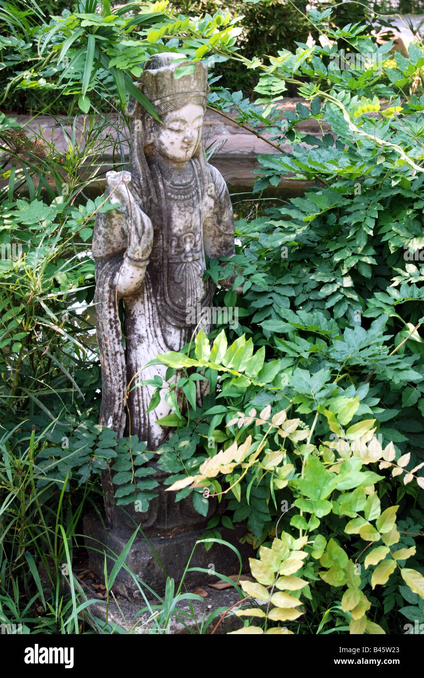 an old Buddha statue in an overgrown garden Stock Photo - Alamy