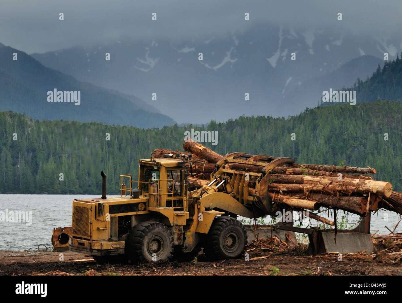 Logging machine hi-res stock photography and images - Alamy