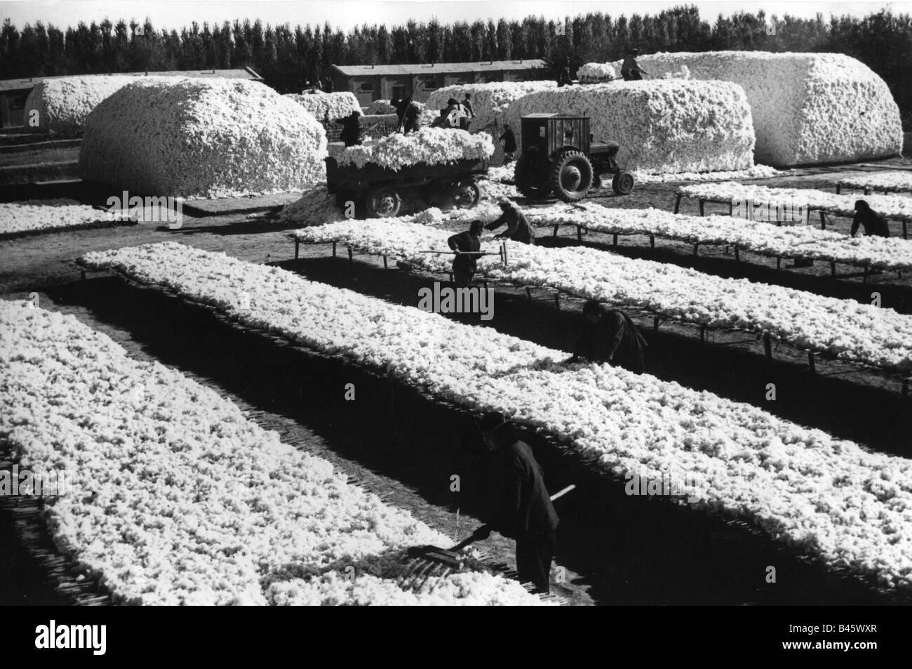 geography/travel, China, Xinjiang, agriculture, farmhand, worker ...