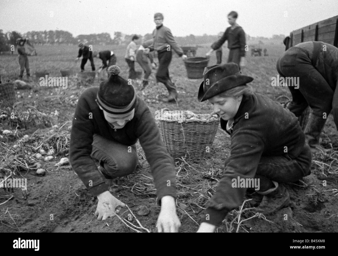 1964 harvest hi-res stock photography and images - Alamy