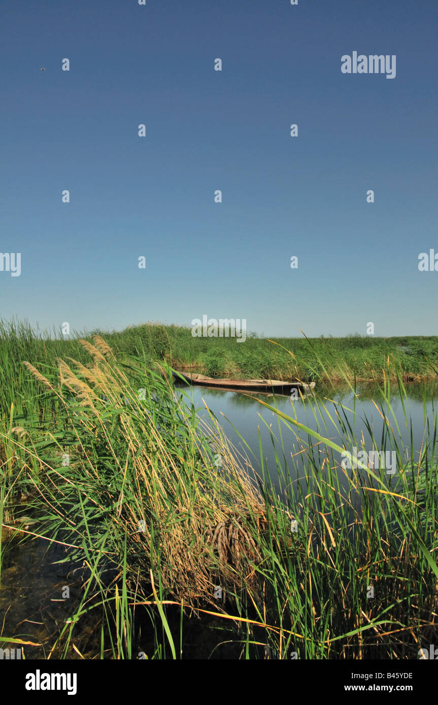 Early evening at Peshnoe Marshes where the Ural River flows into the ...