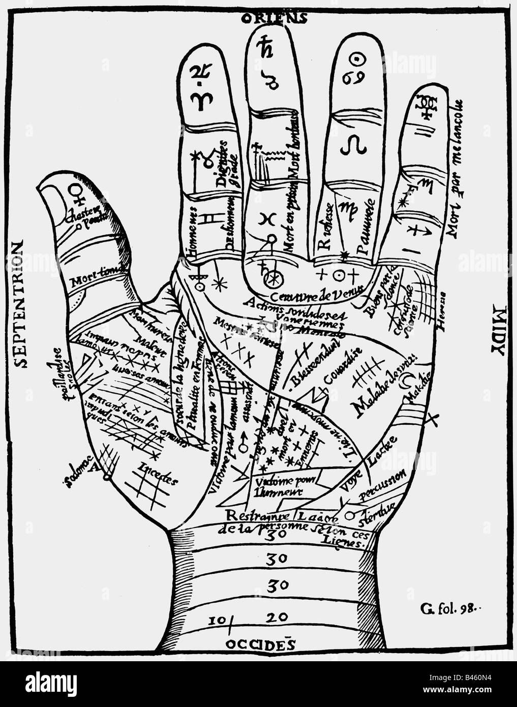 Fortune Telling Hand