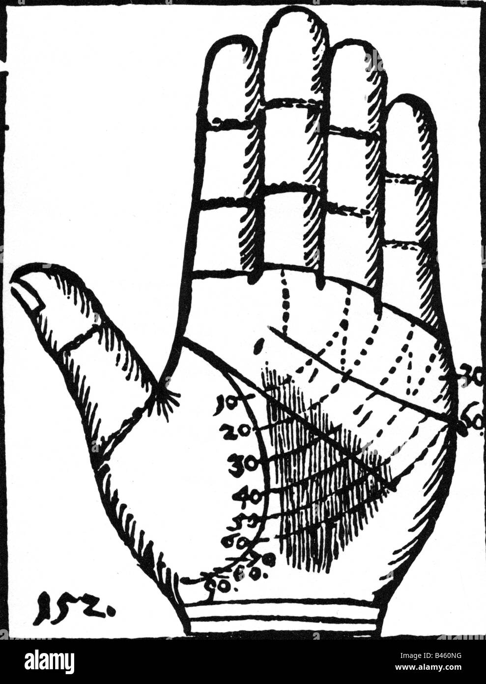 superstition, fortune telling, hand analysis, life line and life ...