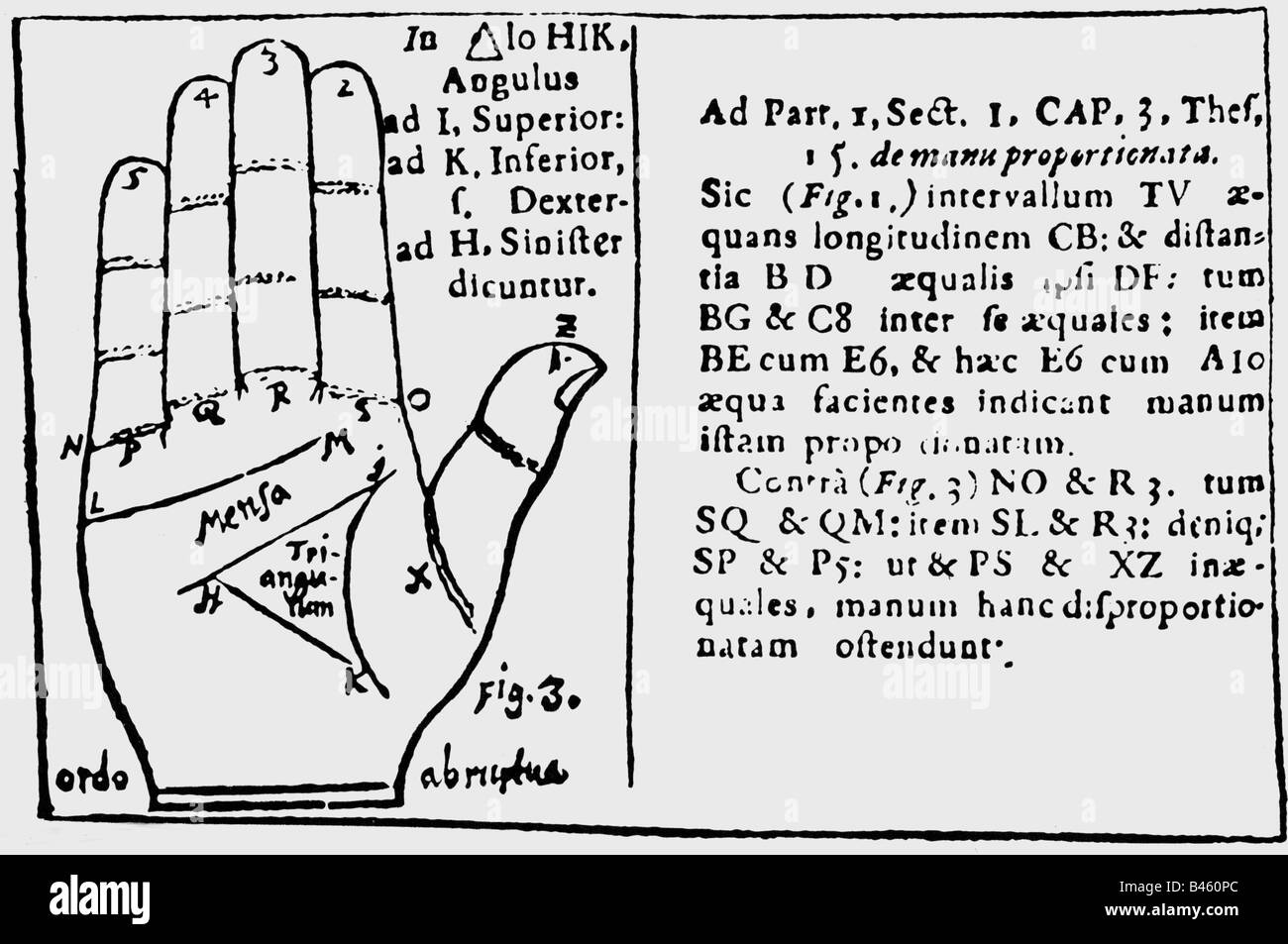superstition, fortune telling, hand analysis, hand, woodcut ...