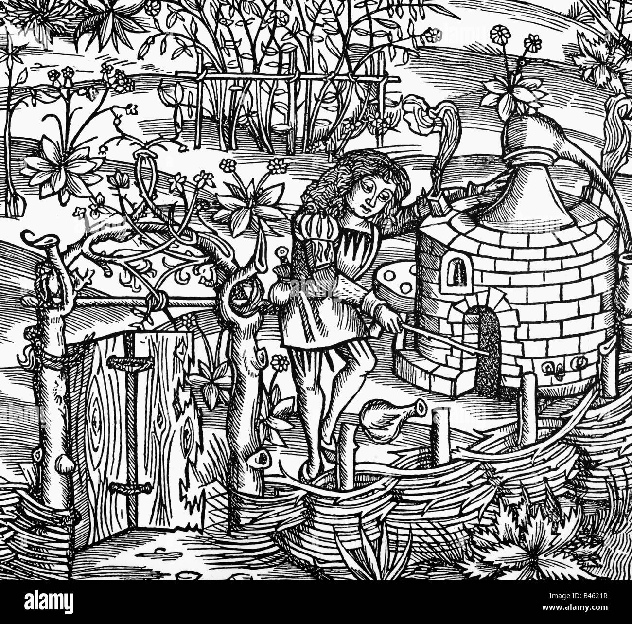 alchemy, distillation of nitric acid, woodcut, 15th century ...