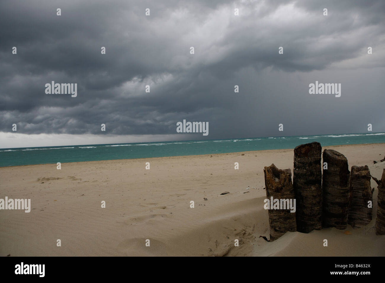 Tropical storm on a beach Stock Photo - Alamy