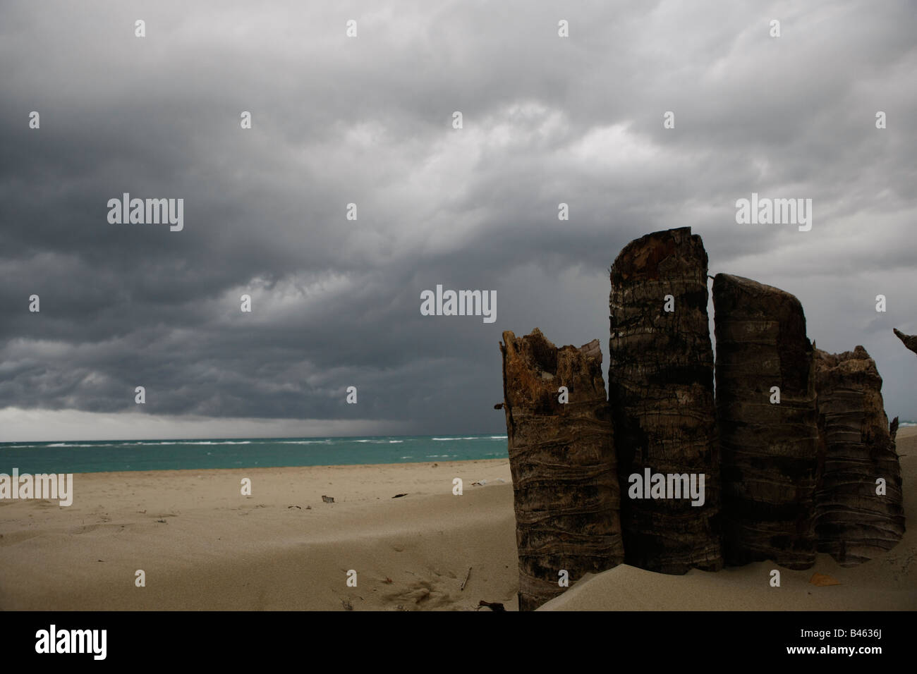 Tropical storm on a beach Stock Photo - Alamy