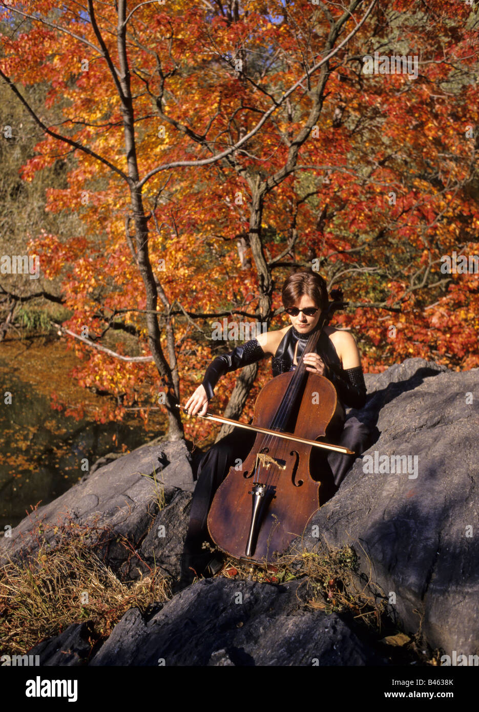 25 years of excellence hi-res stock photography and images - Alamy