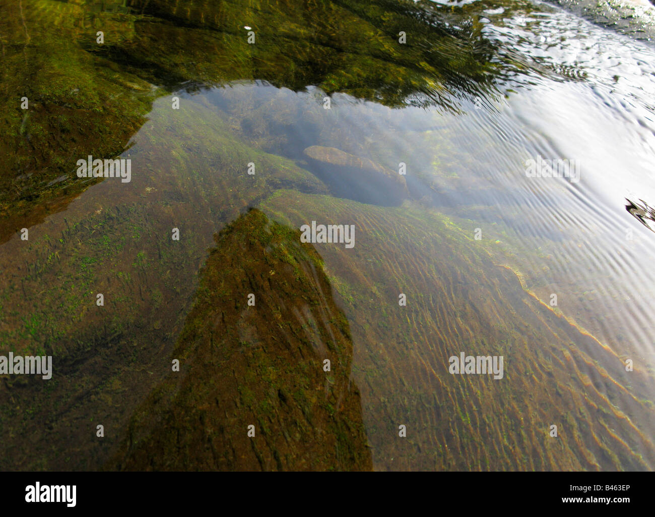 River close up concept Stock Photo - Alamy