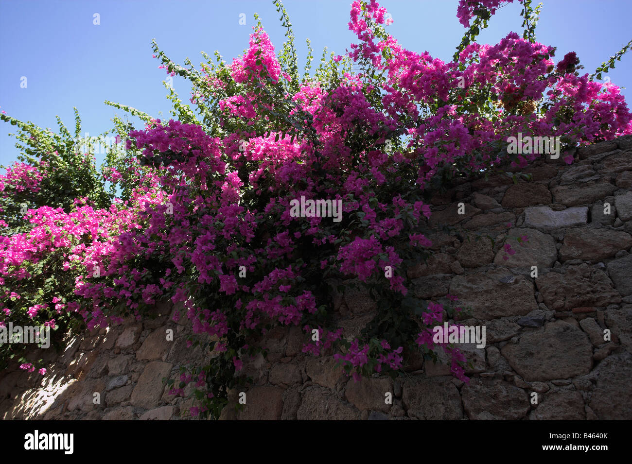 Above the modern town rises the acropolis of lindos hi-res stock ...