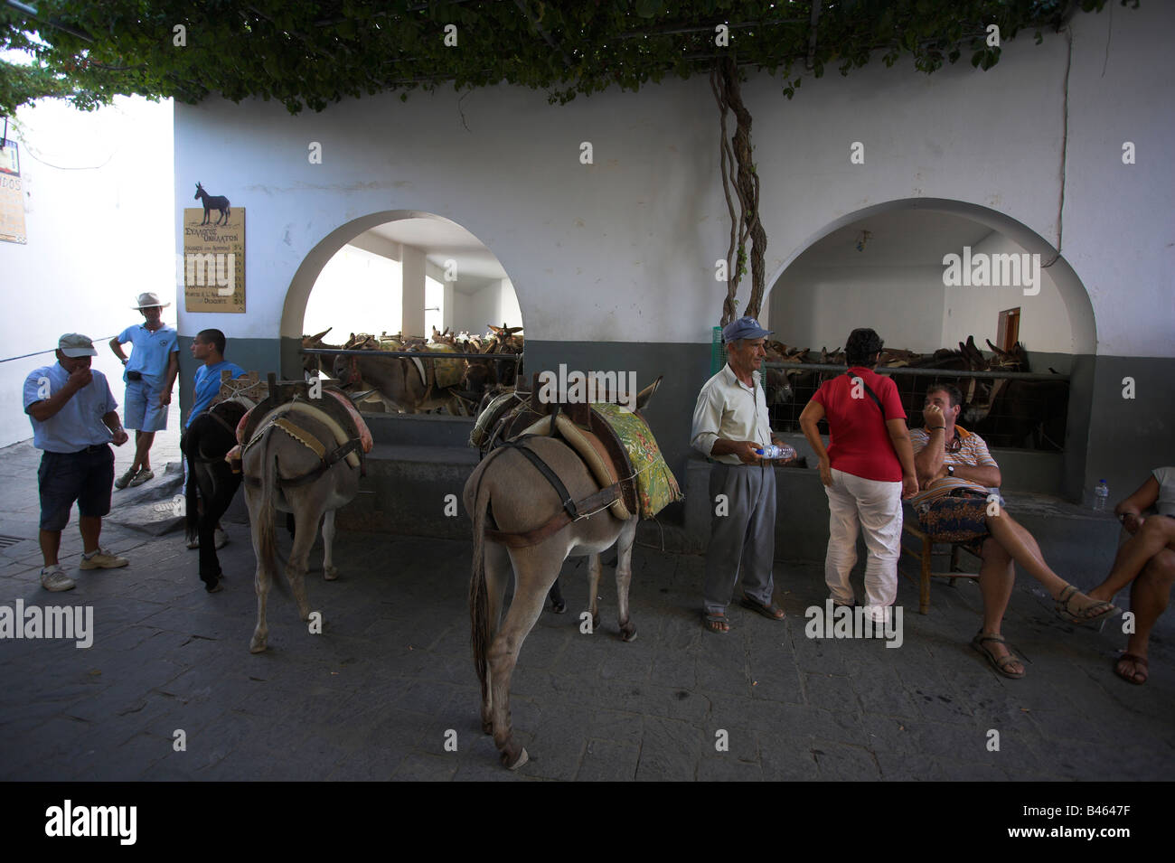 Lindos donkey station Stock Photo - Alamy