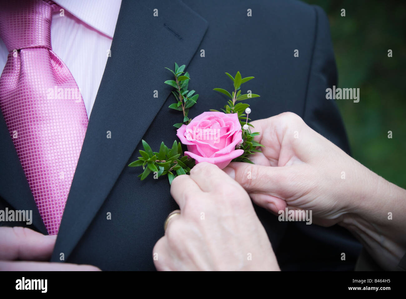 Woman's hand attaching a boutonniere to a groom's suit Stock Photo - Alamy