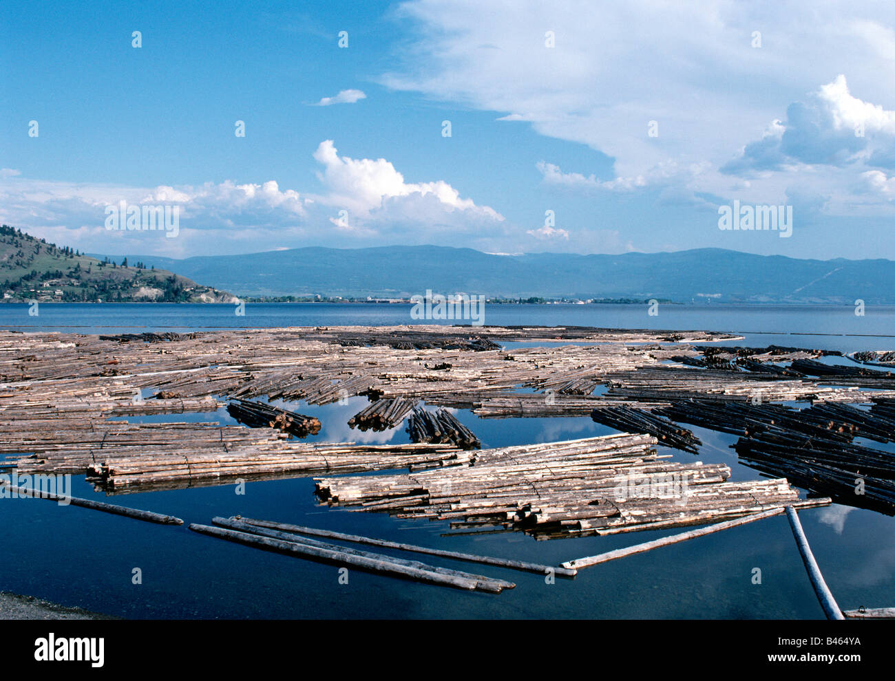 Floating log boom hi-res stock photography and images - Alamy
