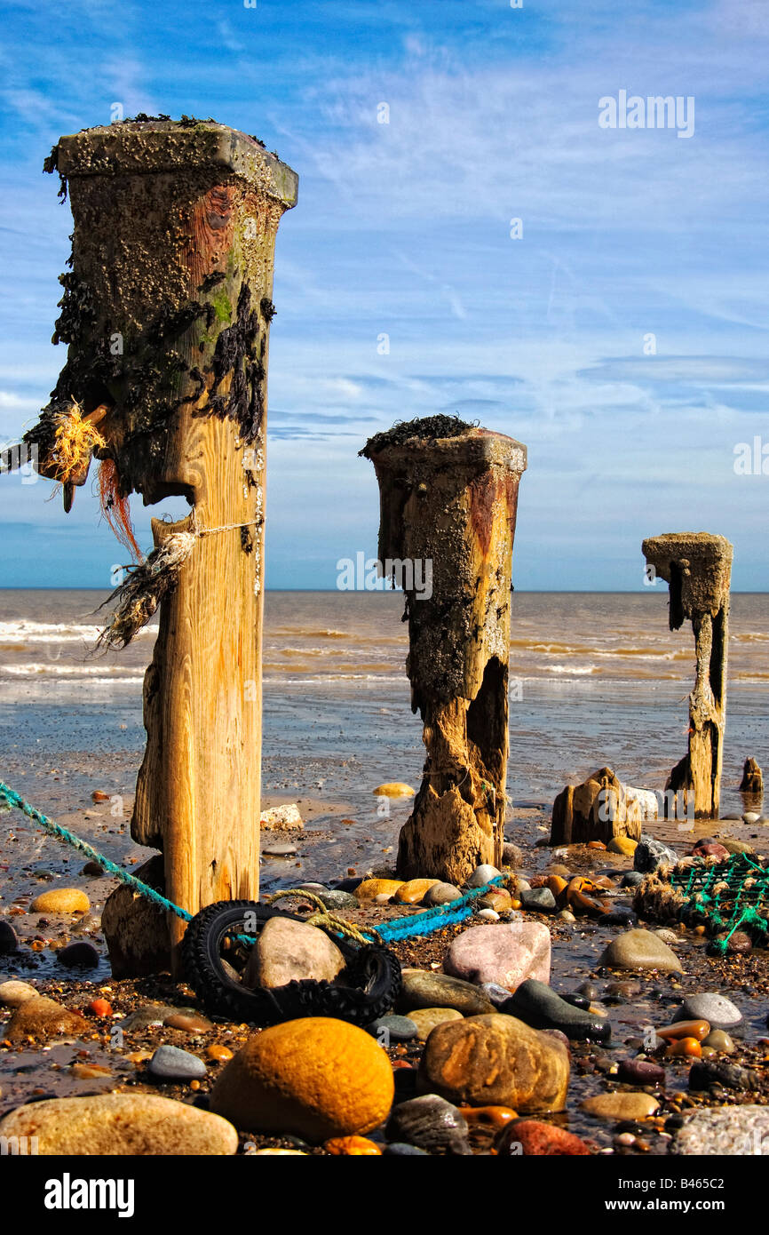Remnants of mooring posts, Humberside, England Stock Photo - Alamy