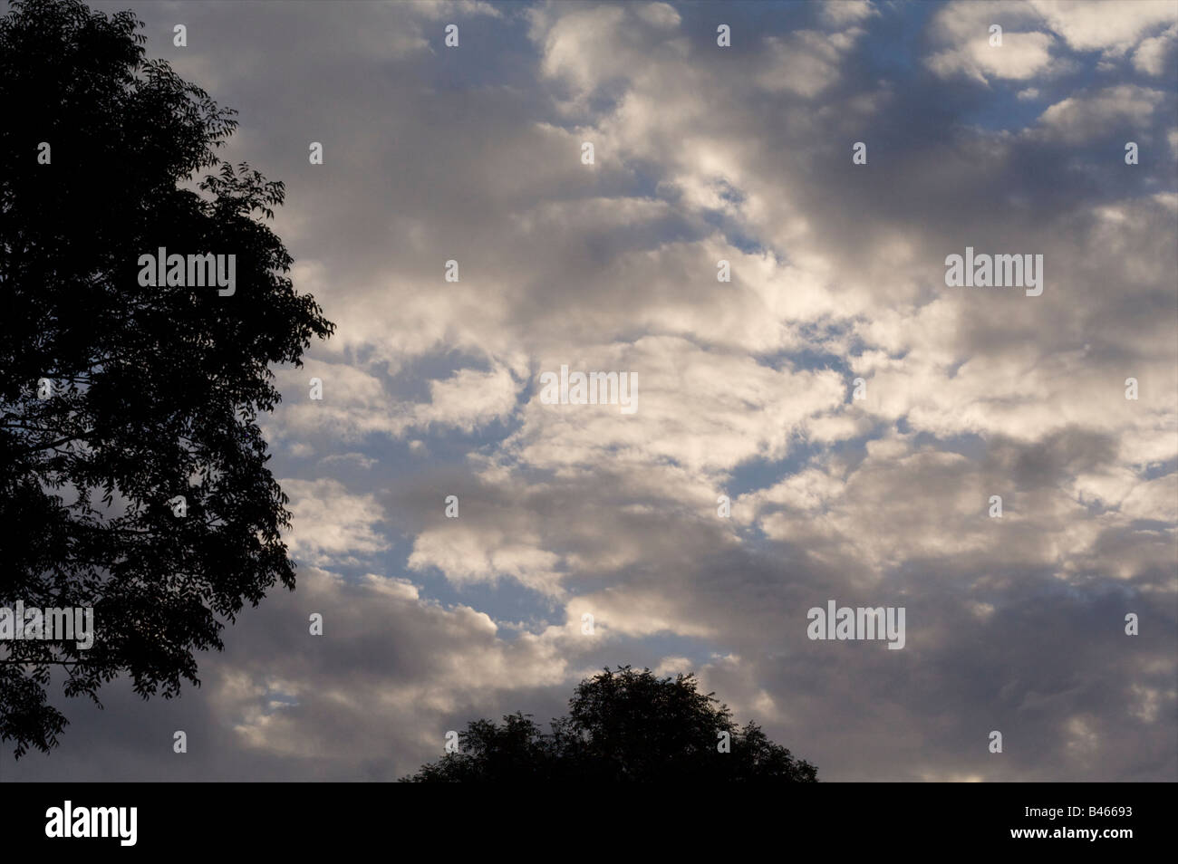 Cloudy evening sky Stock Photo - Alamy