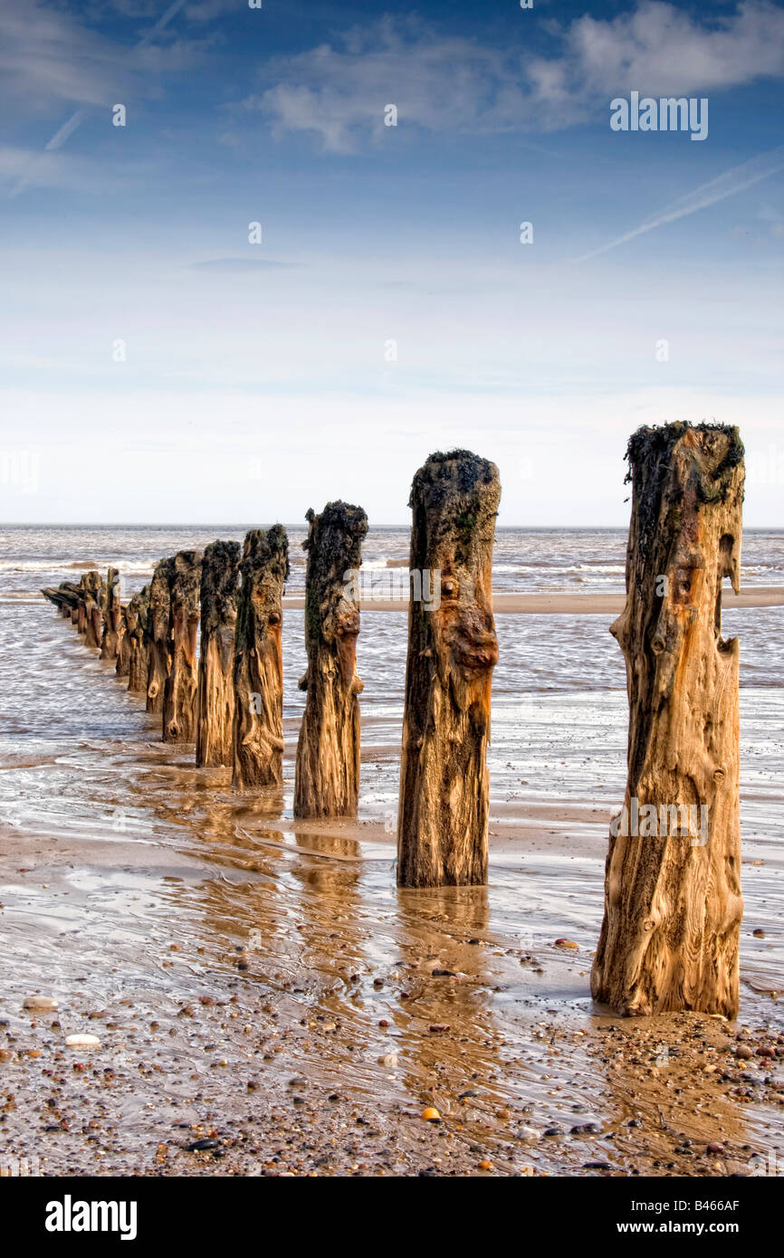 Remnants of mooring posts, Humberside, England Stock Photo - Alamy