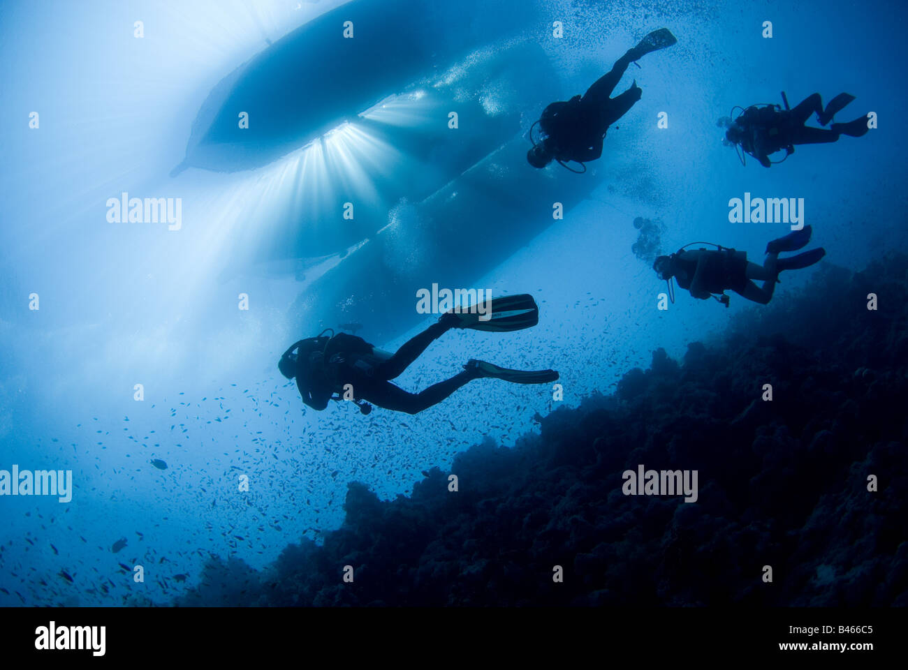 Scubadivers under the boat Stock Photo - Alamy