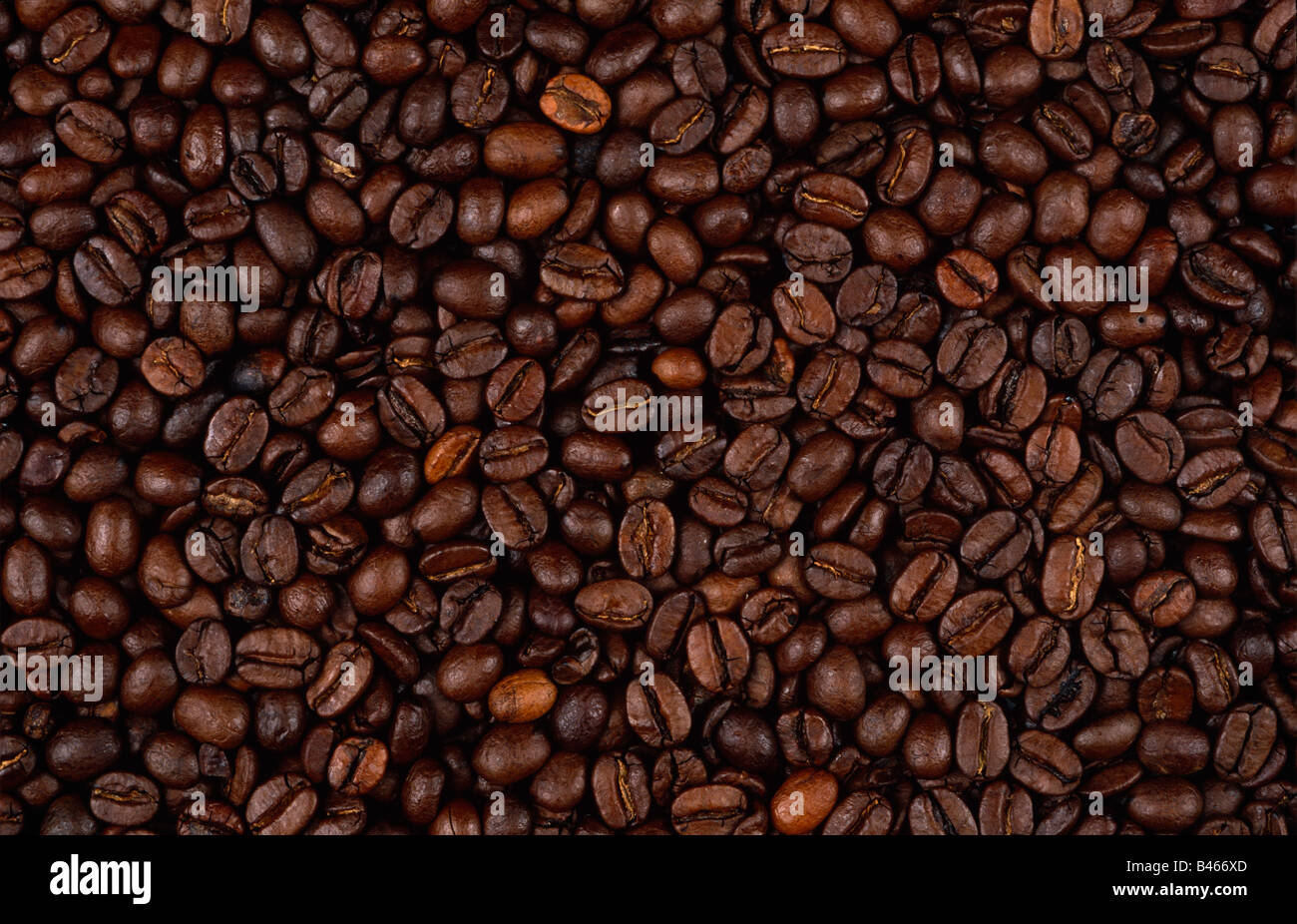 Close up of coffee beans Stock Photo - Alamy