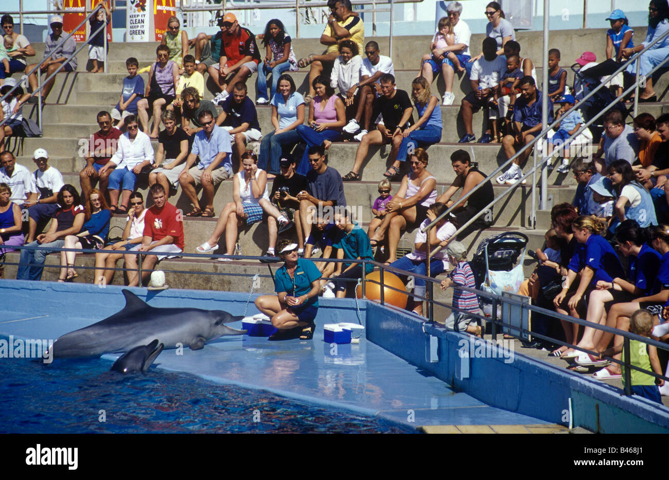 Dolphin show at oceangraphic center, seaworld in Port Elizabeth, South ...