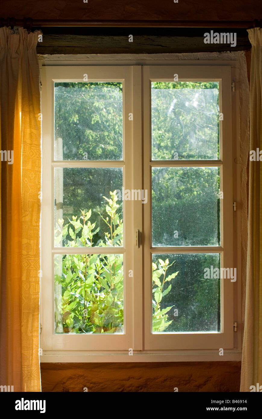 Pretty window looking out onto a sunny garden Stock Photo - Alamy