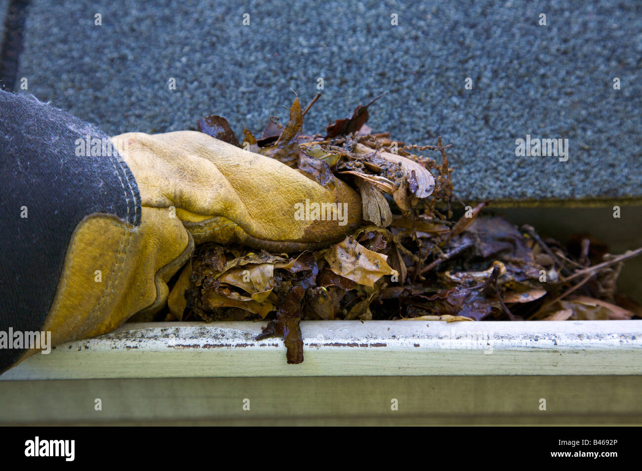 Cleaning gutters hi-res stock photography and images - Alamy