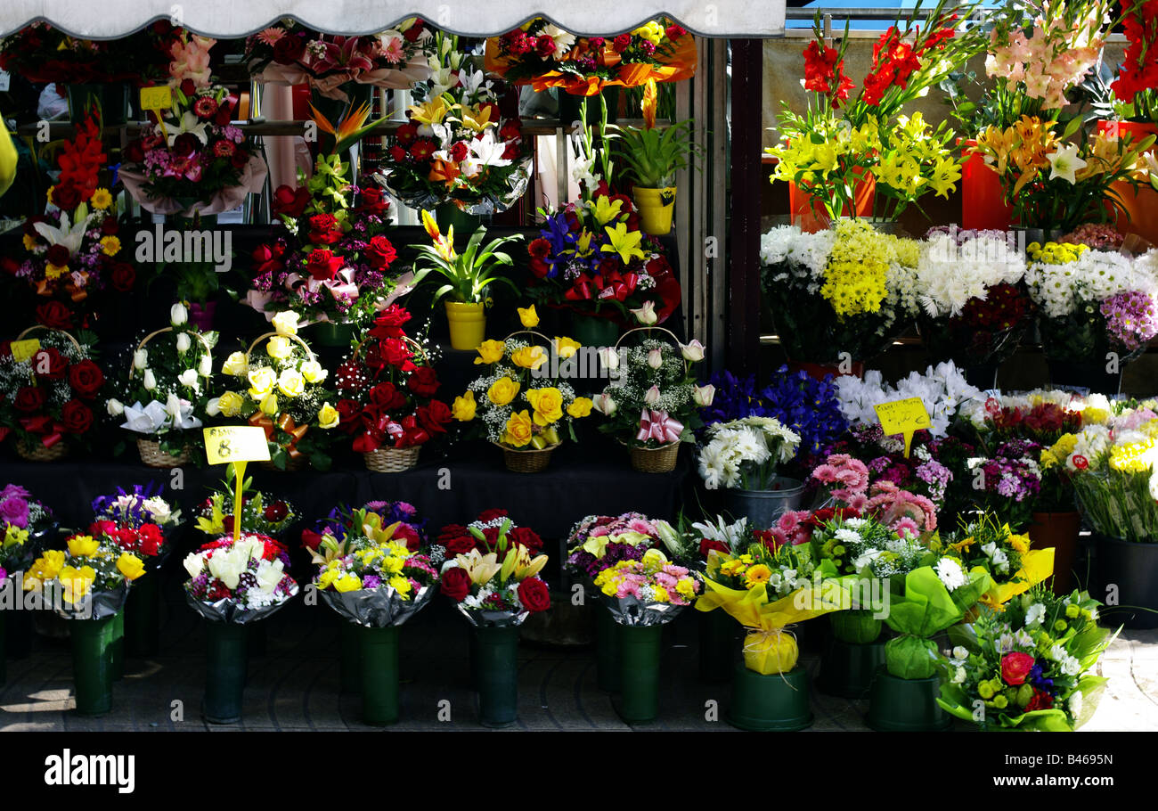 Flower stall in the Barcelona Rambla Stock Photo - Alamy