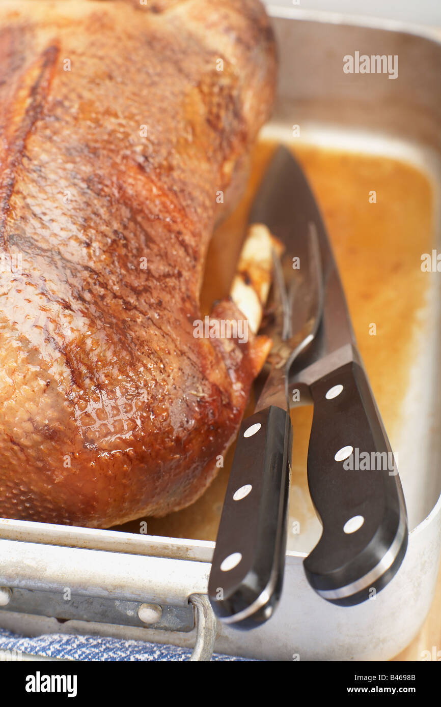 Tin goose hi-res stock photography and images - Alamy