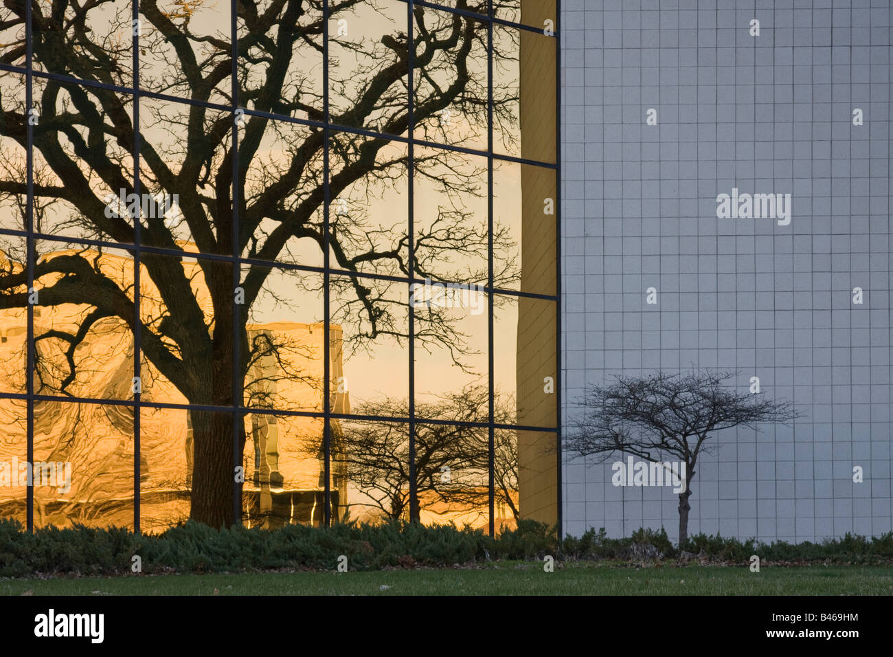 Windows tree silhouette hi-res stock photography and images - Alamy