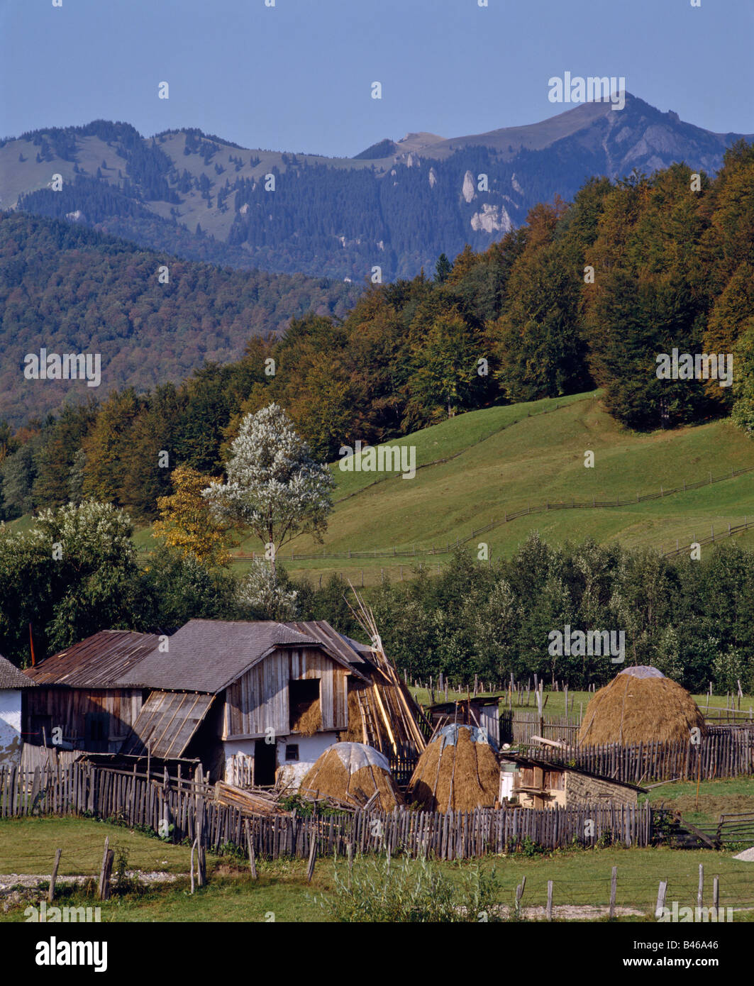 Hay barn in Carpathian Mountains at Cheia south east of Brasov Romania ...