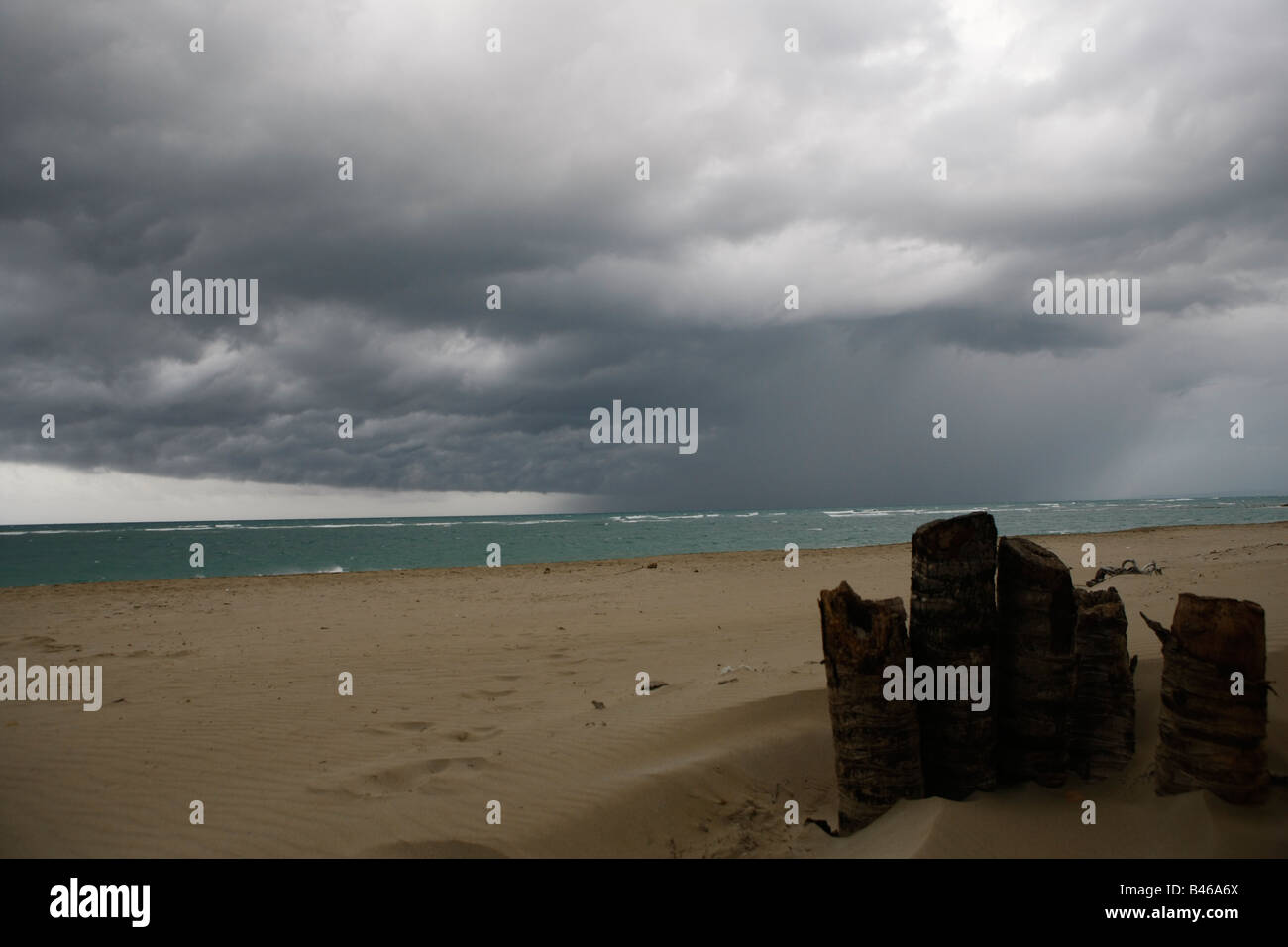 Tropical storm on a beach Stock Photo - Alamy