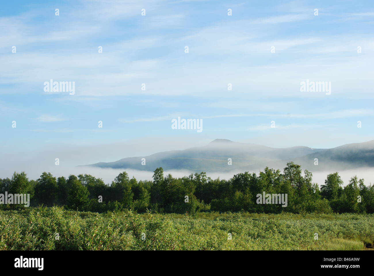 Dawn mist on mountains near Hemavan, Vasterbottenslan, Swedish Lapland ...