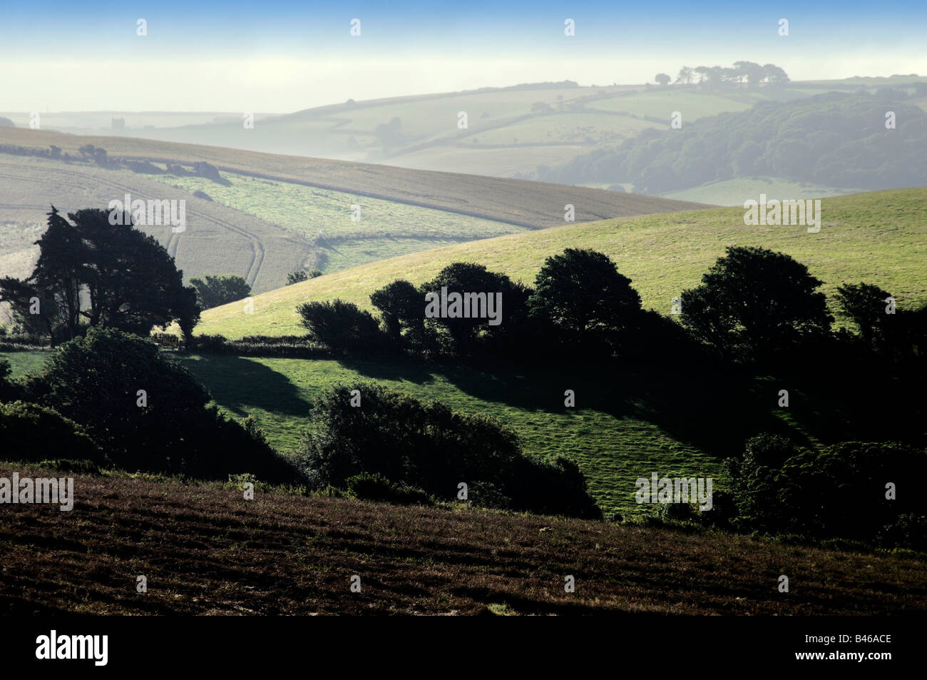 view hill hills trees ridge rolling landscape landscapes salcombe ...