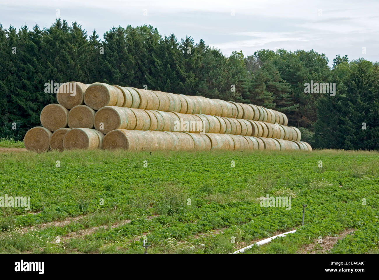 Stacked round bale hi-res stock photography and images - Alamy