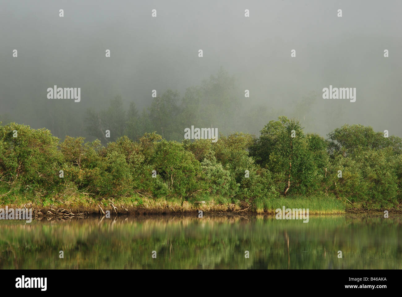 Ume alv river hi-res stock photography and images - Alamy