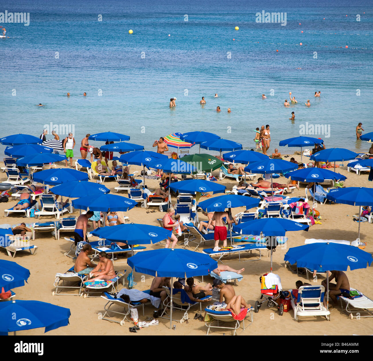 VIEW OF FIG TREE BAY, PROTARAS, IN CYPRUS WITH MANY BLUE UMBRELLAS AND ...