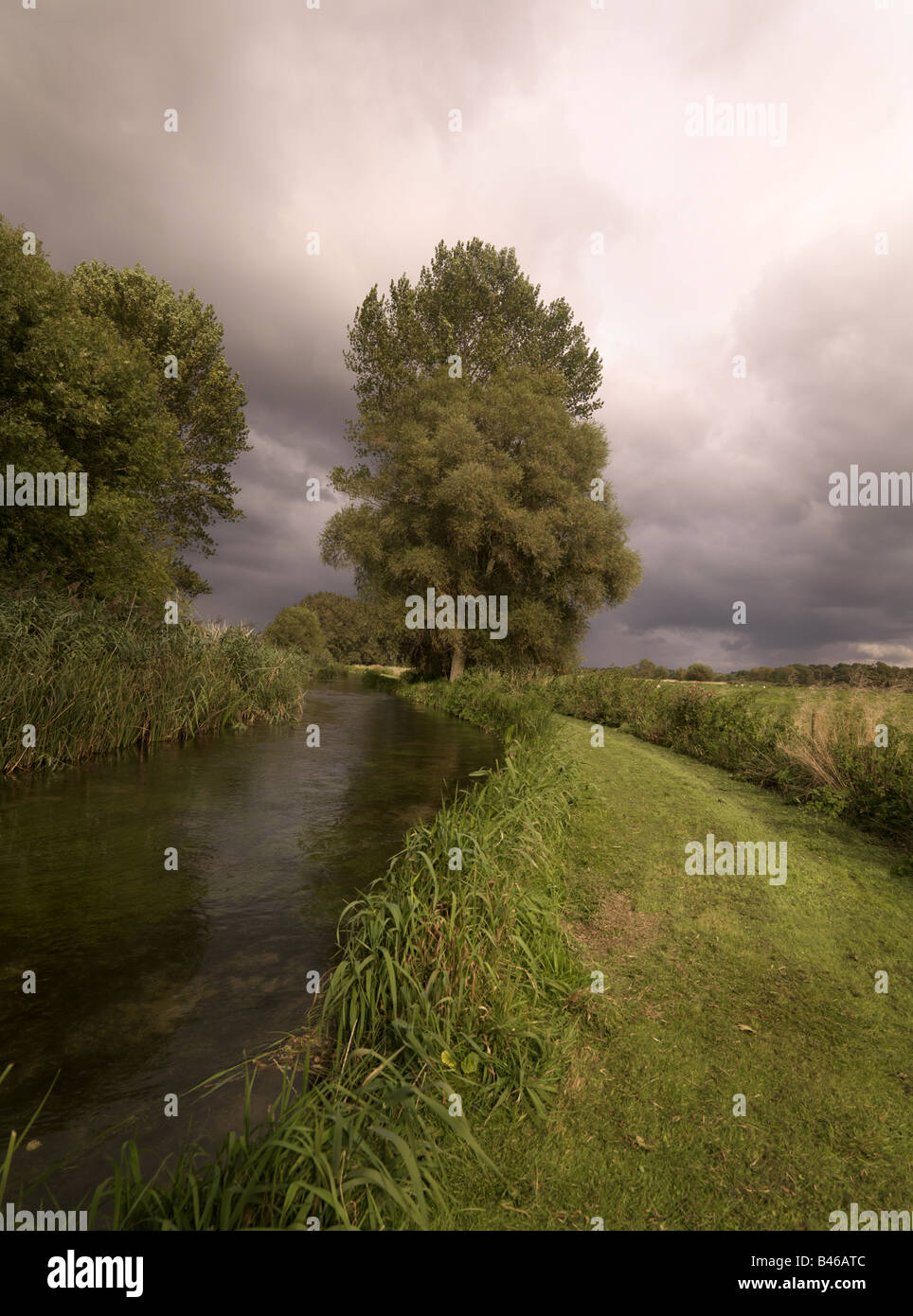 Portrait shot of River Test on a day with a foreboding sky Stock Photo ...