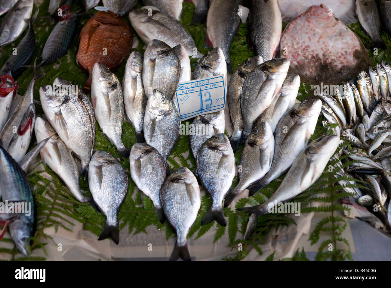 Cupra Fish Market Stall Karakoy Fish Market Istanbul Turkey Stock Photo ...