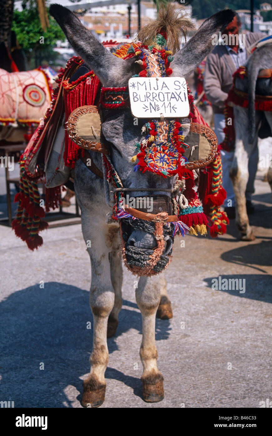 Donkey ride sign hi-res stock photography and images - Alamy