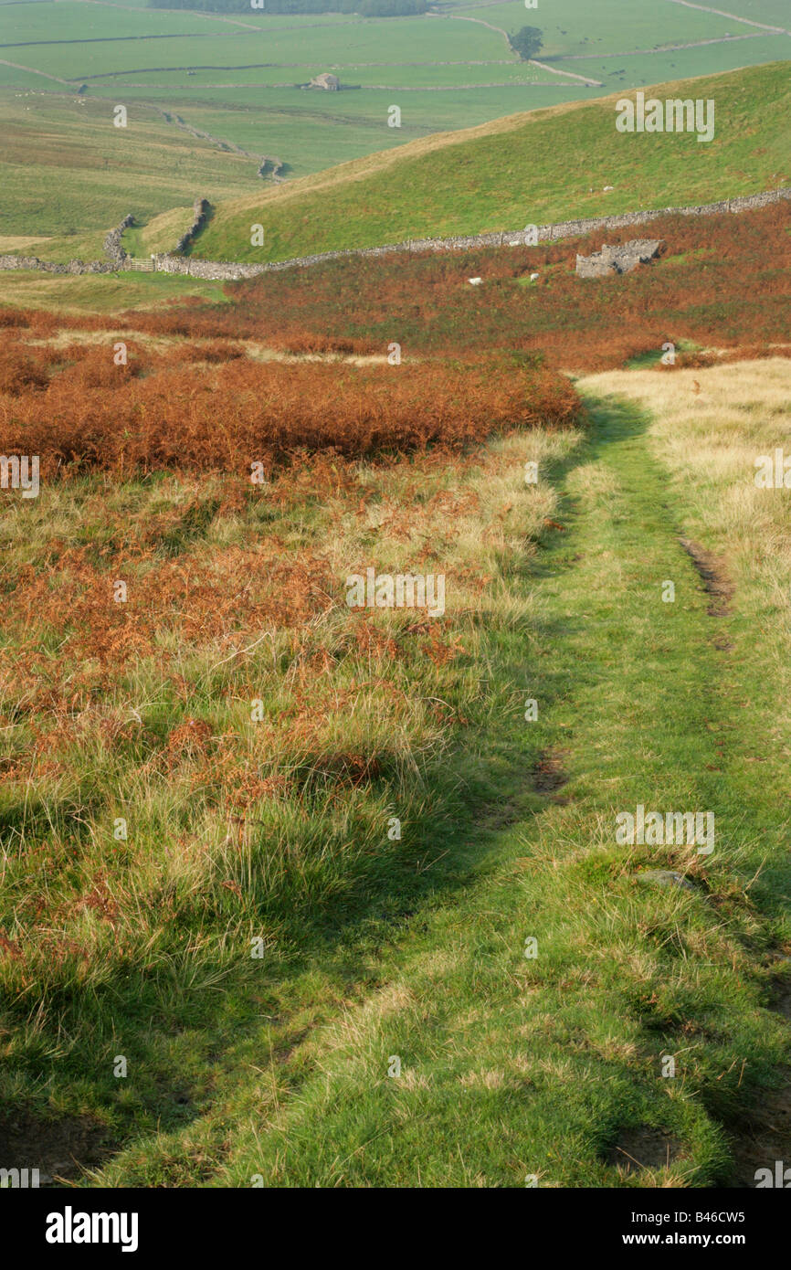 Footpath leading into Crummackdale, Yorkshire Dales, UK Stock Photo - Alamy