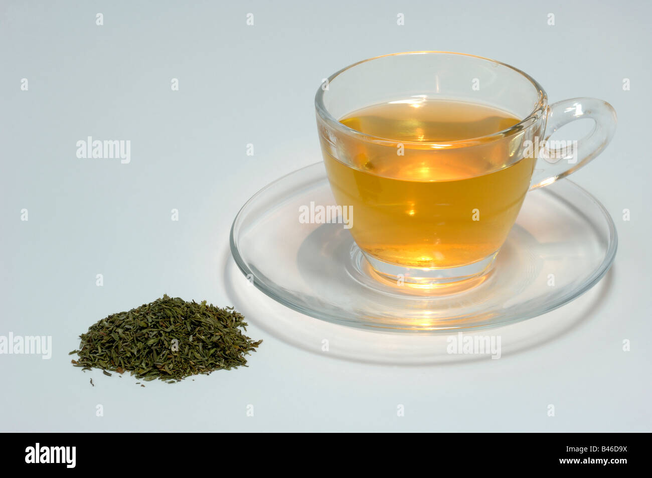 Thyme thymus sp Cut Out Stock Images & Pictures - Alamy