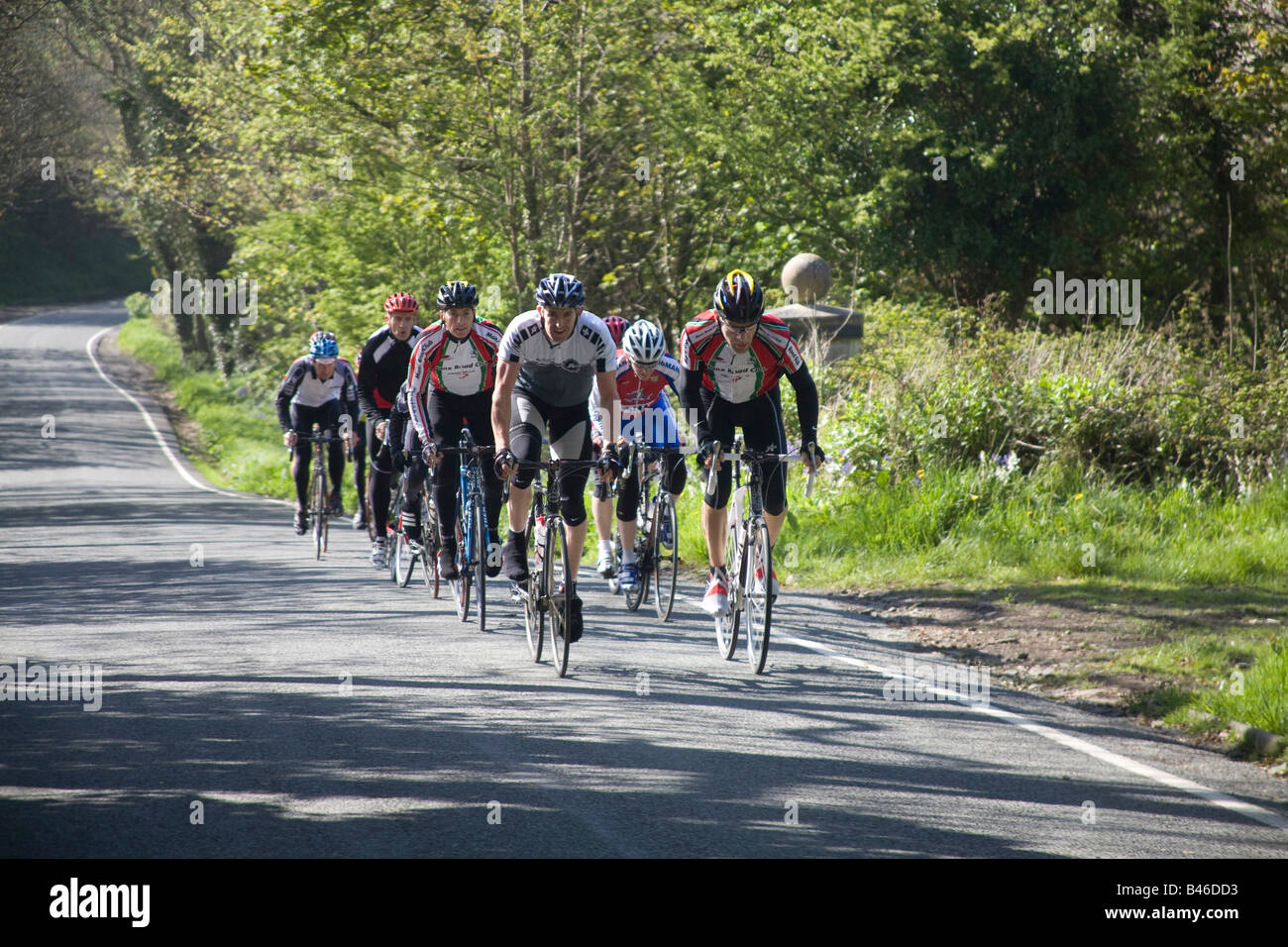 Group of cyclists on road in countryside. sunny afternoon. 83501 ...