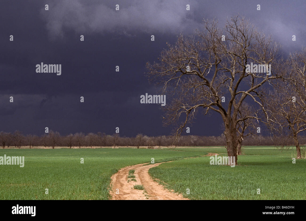 Elmore city oklahoma hi-res stock photography and images - Alamy