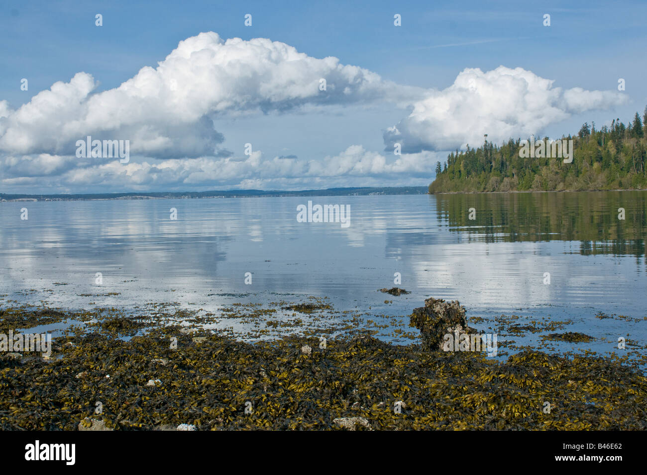 Looking out over a beach across Puget Sound in Washington to see the ...