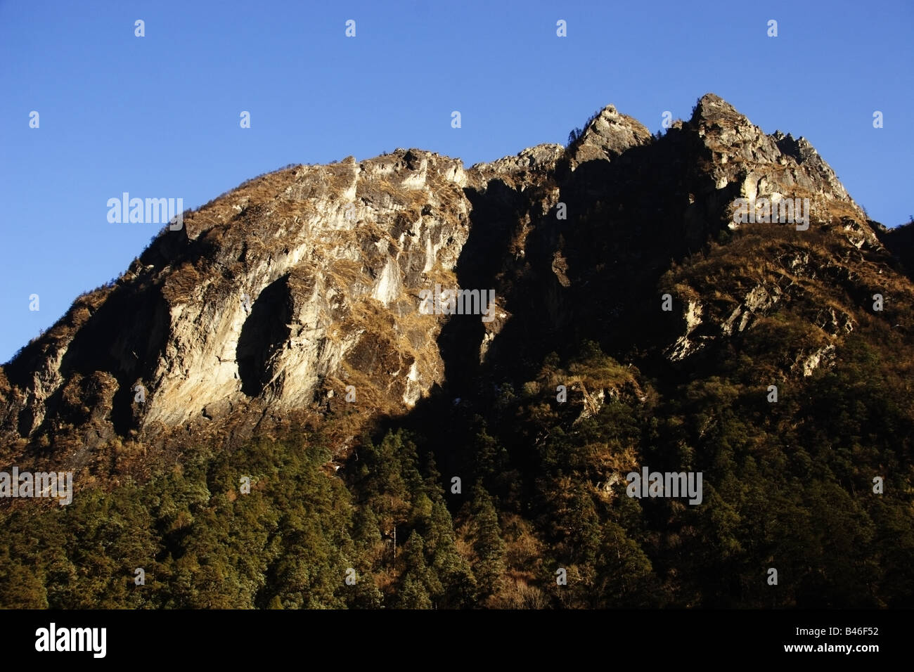 Mountain top in Langtang National Park Nepal Stock Photo - Alamy