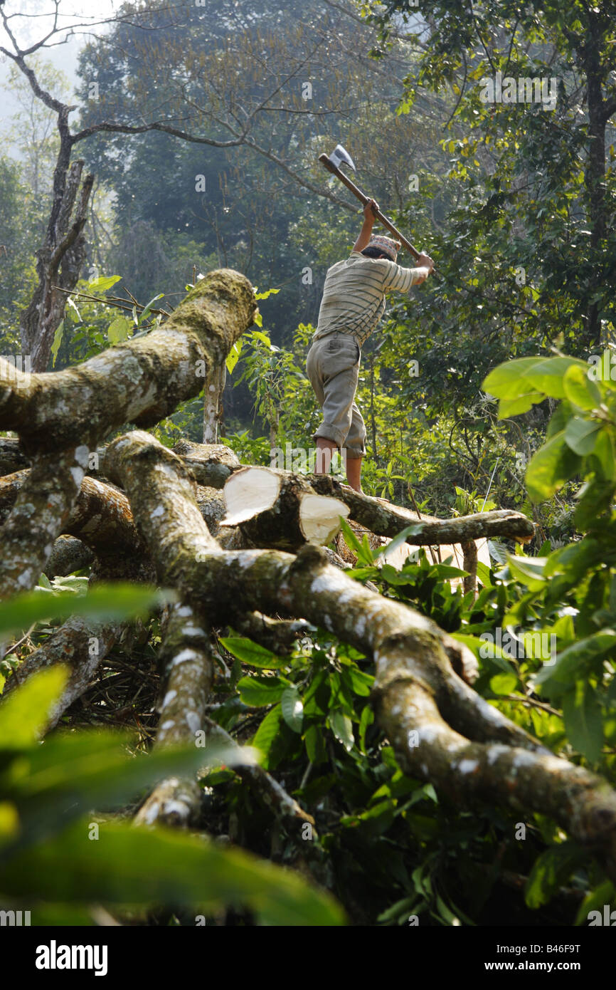 Man cutting down trees in rural Nepal. Deforestation for land use is a ...