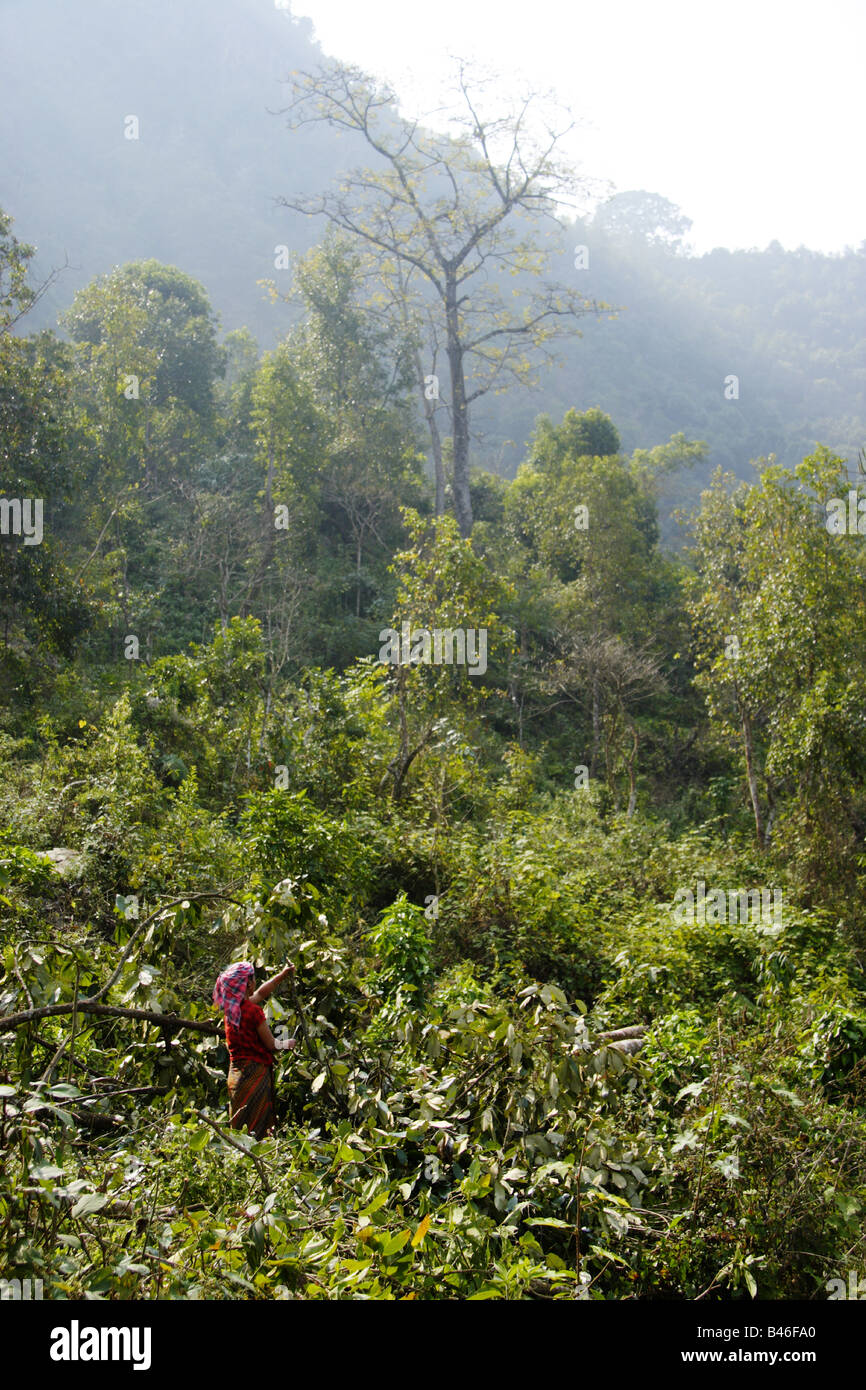 Deforestation for land use in the hills of Nepal. Deforestation is a ...