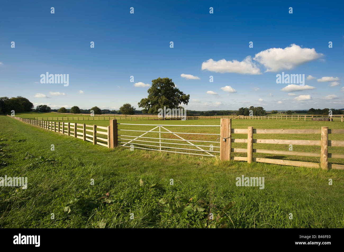 field of grass with tree fence and gate Stock Photo - Alamy
