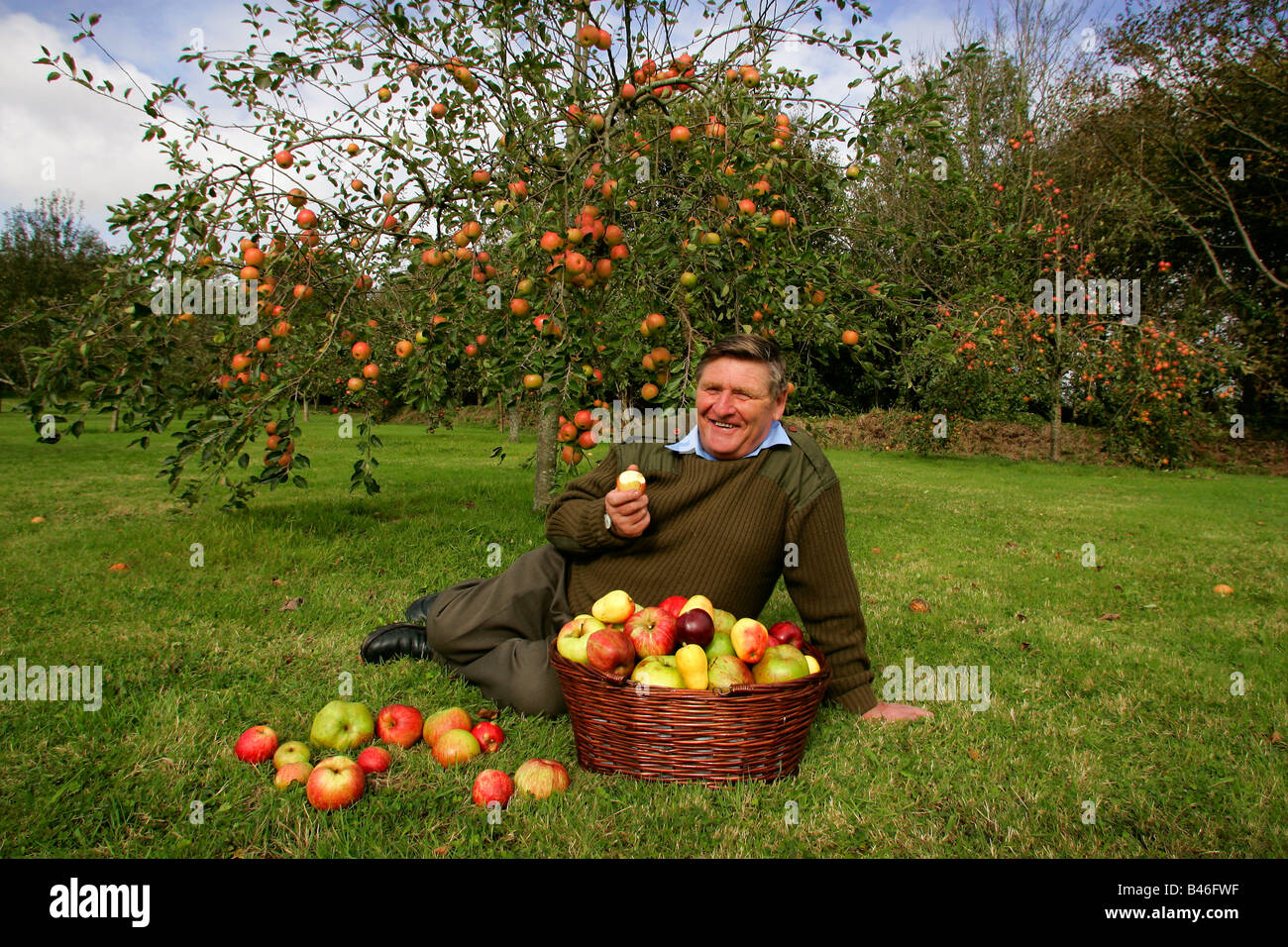 John Harris in orchard with apples Stock Photo - Alamy