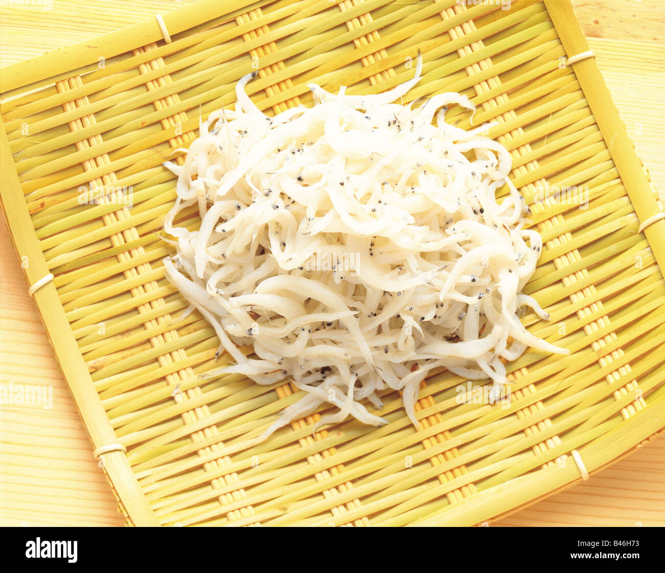 Shirasu hi-res stock photography and images - Alamy